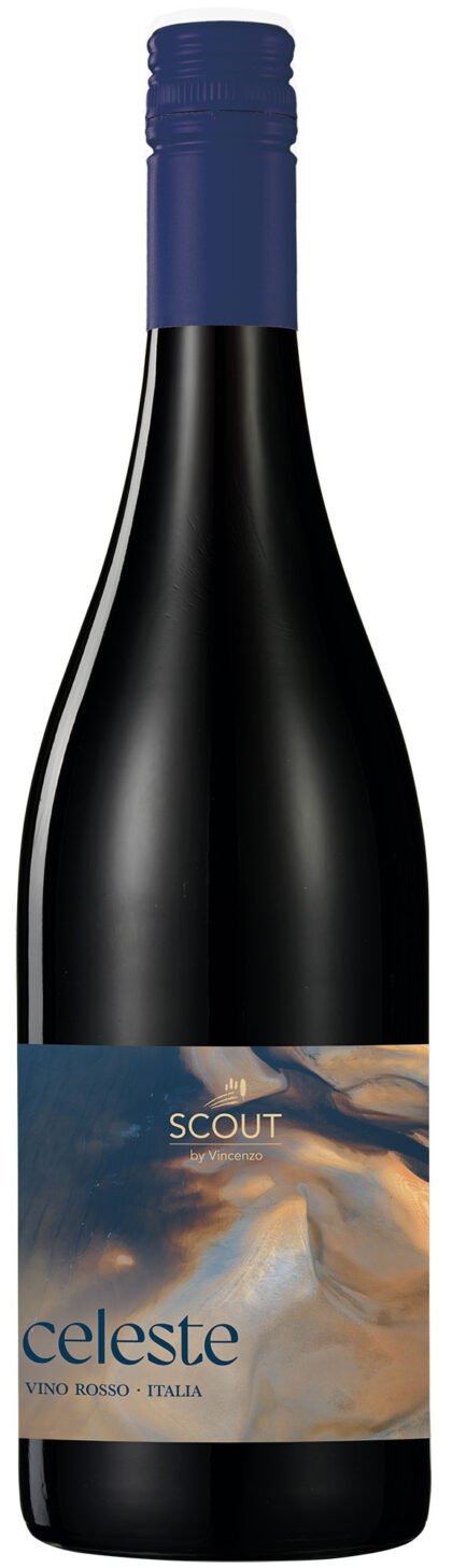 Celeste Scout by Vincenzo Vino Rosso Italien 2022 - Vine - Falkensten Vin